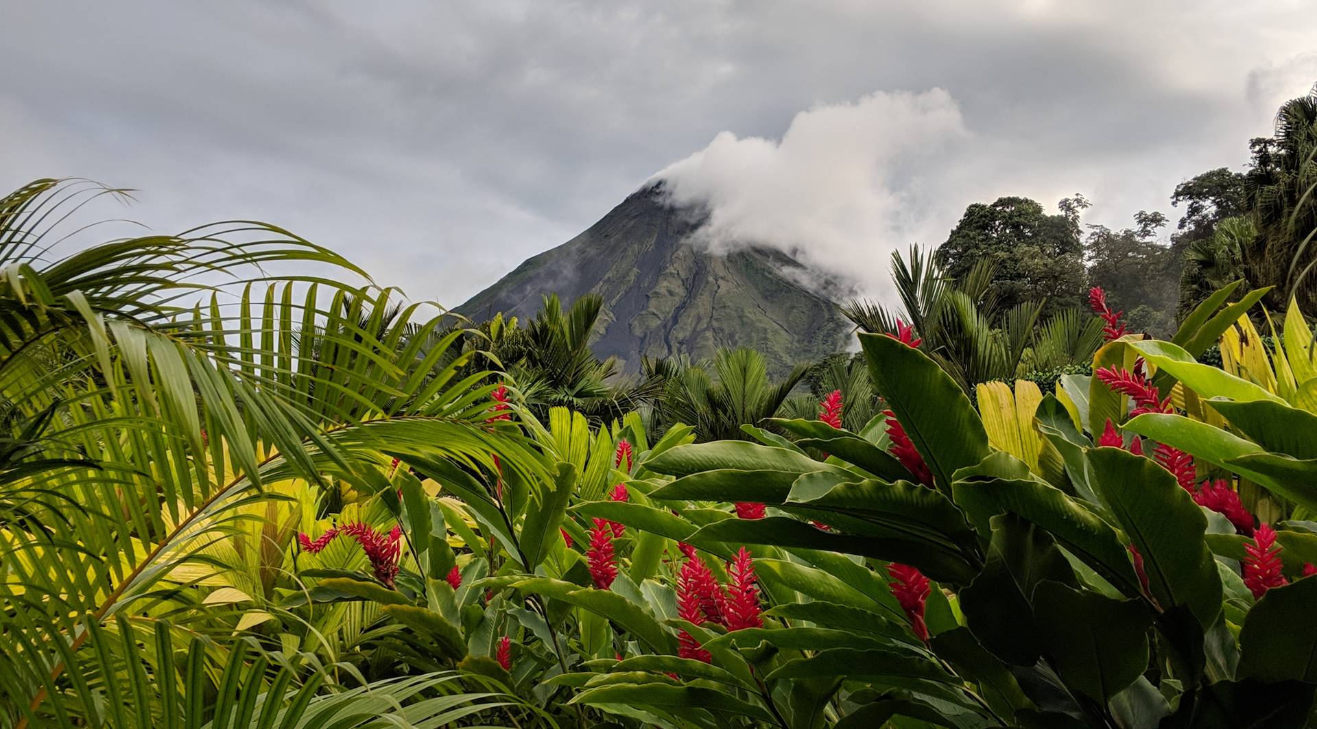 Home - Arenal Properties